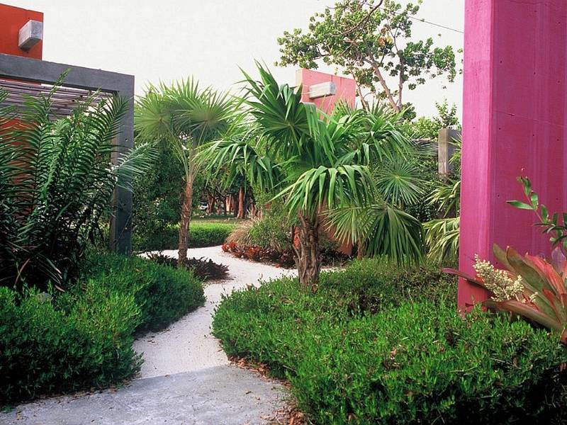 Softscaping - Terraforma Landscaping Dubai, UAE